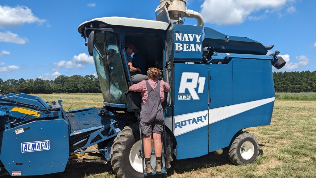 Organic Sunflower Harvest and Processing | NC State Extension